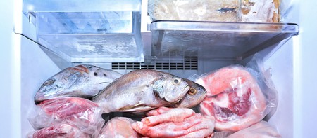 Can You Freeze An Ungutted Fish? - Begin To Fish