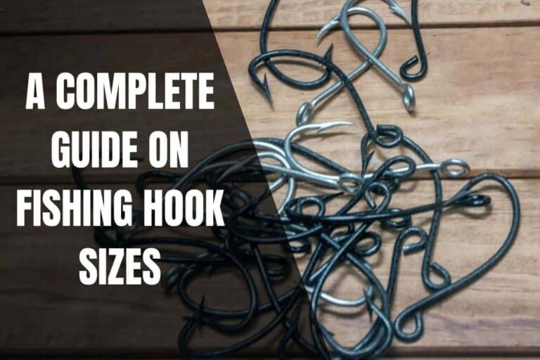 A Complete Guide On Fishing Hook Sizes - Begin To Fish