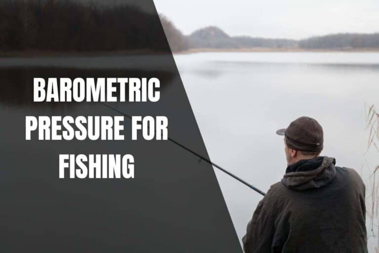 Barometric Pressure For Fishing - Secrets Revealed - Begin To Fish