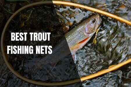 9 Best Trout Fishing Nets In 2023 - Begin To Fish