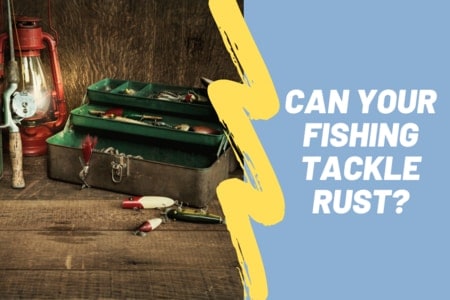 Will Your Fishing Tackle Rust? (And Tips On How To Clean Them) - Begin ...