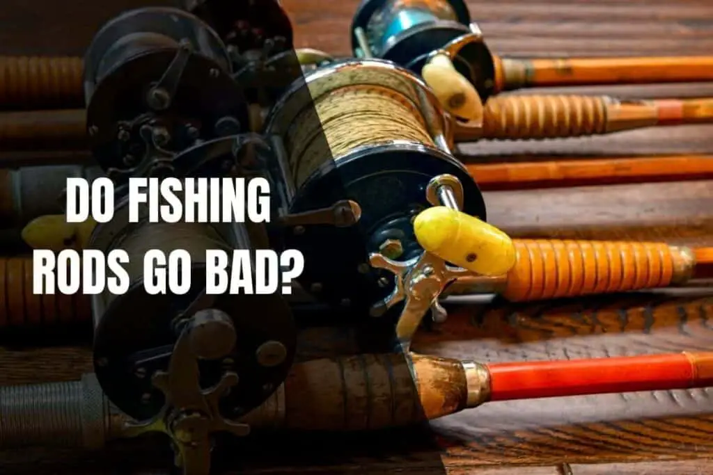 Do Fishing Rods Go Bad? - Begin To Fish