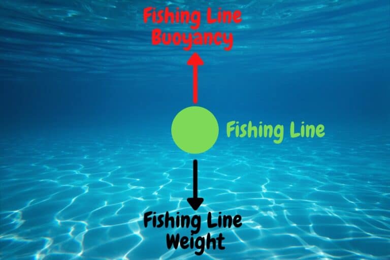 Will A Fishing Line Sink Or Float? (An Engineer Explains!) - Begin To Fish