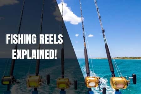 Fishing Reel Types - Explained! - Begin To Fish