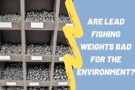 Are Lead Fishing Weights Bad For The Environment? - Begin To Fish