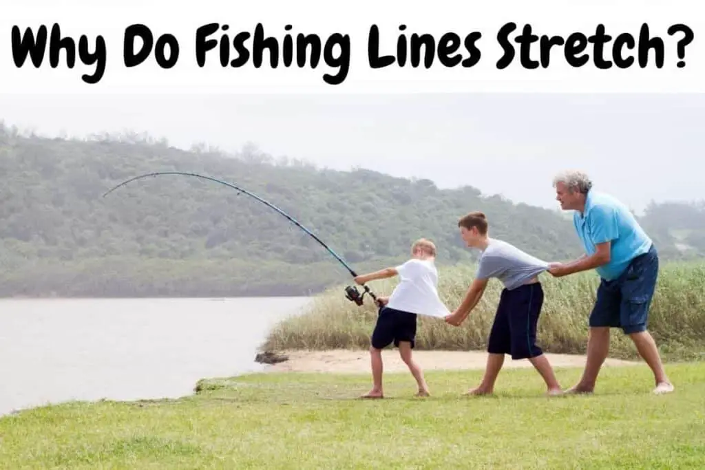 Fishing Line Stretch: What You Need To Know! - Begin To Fish