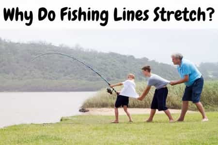 Fishing Line Stretch: What You Need To Know! - Begin To Fish