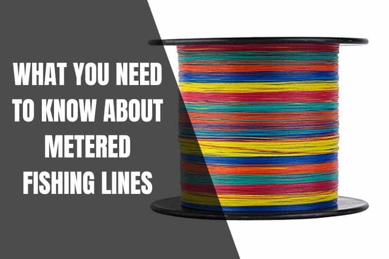 Metered Fishing Line: The Ultimate Guide To Precision Angling - Begin ...