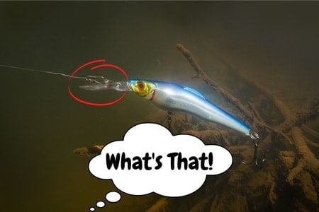 Do Swivels Scare Fish Away? Find Out Here! - Begin To Fish