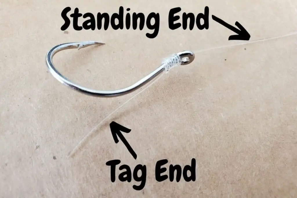 A Beginner's Guide: What Is A Fishing Line Tag End? - Begin To Fish