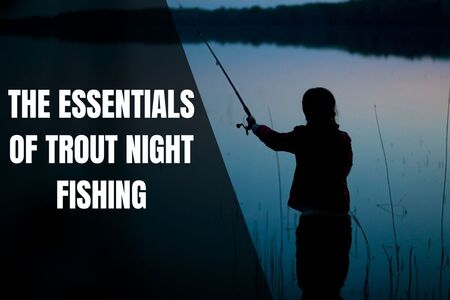 The Essentials Of Trout Night Fishing - Begin To Fish