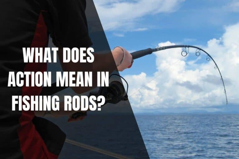 What Does Action Mean In Fishing Rods? - Begin To Fish