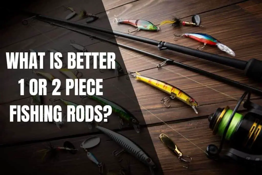 What Is Better 1 Or 2 Piece Fishing Rods? - Begin To Fish