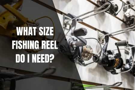 What Size Fishing Reel Do I Need? - Begin To Fish