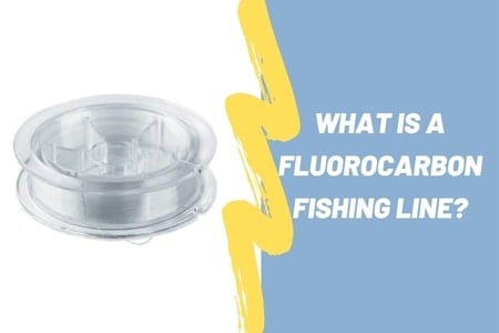 What Is A Fluorocarbon Fishing Line? And Why You Should Use It! - Begin ...